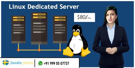 Sweden Linux Dedicated Server Grow Your Business Website Fast Scalable