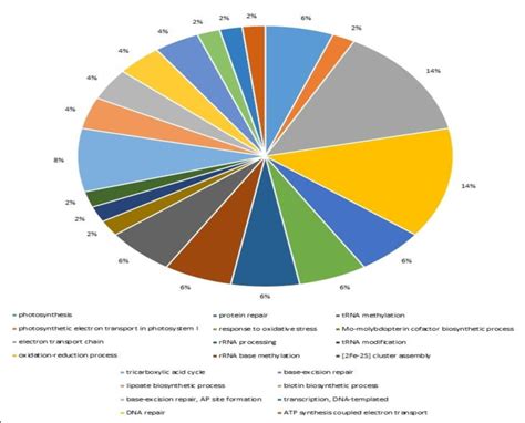 Biological Processes Involving Iron Binding Proteins Download