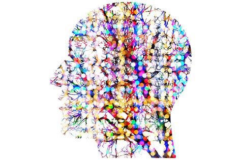 To Forget Or To Remember Memory Depends On Subtle Brain Signals Neuroscience News