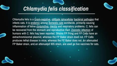 Solution Chlamydia Powerpoint Studypool