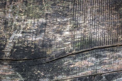 Ruwe Oppervlakte Van Een Oud Houten Bord Met Scheuren Stock Afbeelding Image Of Barst Vuil