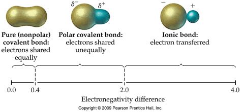 How To Use Electronegativity To Find Polarity