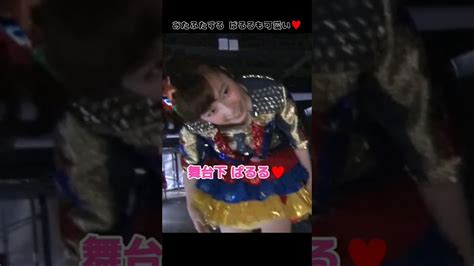 あたふた舞台下 ぱるる ぱるる部分のみ 島崎遥香 ぱるる AKB48 川栄李奈 Shorts Moe Zine