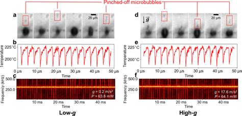 Captured Bubble Dynamics Of Oscillate Boiling Bubbles The Temperature Download Scientific