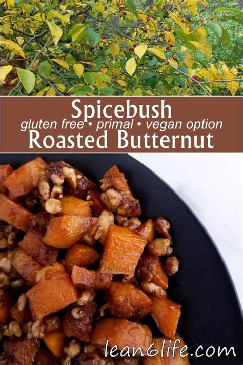 Spicebush Roasted Butternut Squash Recipe