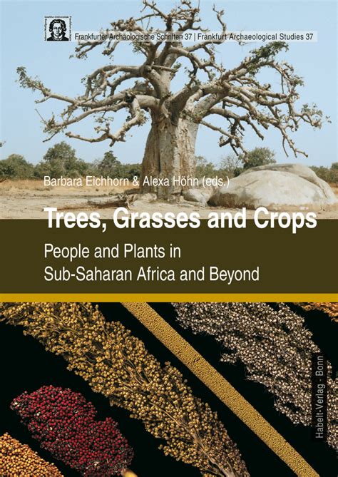 Pdf Towards Identification Of Millet Crop By Products By Phytolith Analysis A Comparison Of