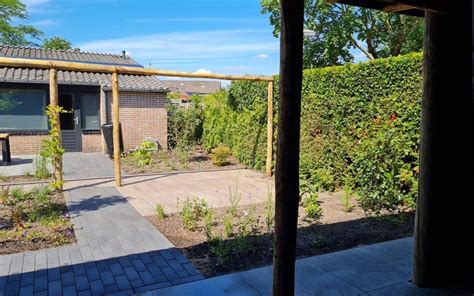 Tuin Schaduwplanten Selecteren Waalwebnl