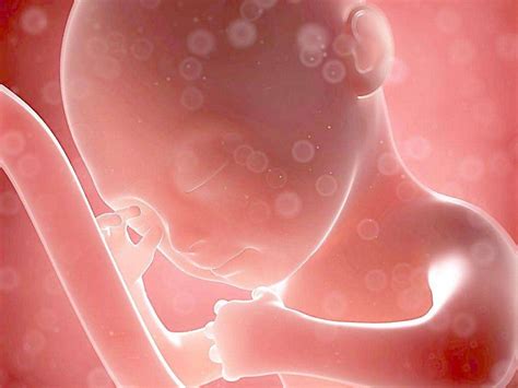 羊水指数多少算正常 1～40周胎儿羊水正常标准数值 柚喜学园