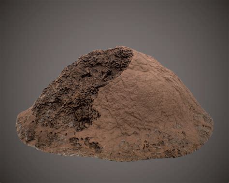 Ant Anthill 3d Model Turbosquid 1218042