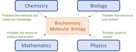 What Makes Biochemistry And Molecular Biology So Difficult Threshold Concepts In Biochemistry