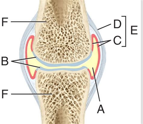 Ch 9 Assignment Diagram Quizlet