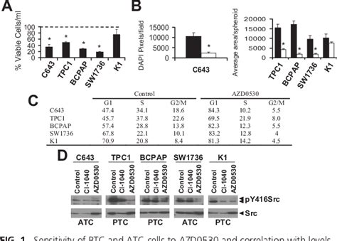 Figure 1 From Inhibition Of Src With Azd0530 Reveals The Src Focal Adhesion Kinase Complex As A