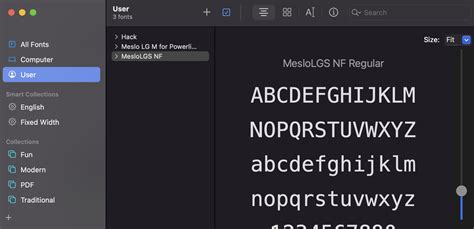 Font Issues While Integrating Zsh On Visual Studio Code Stack Overflow