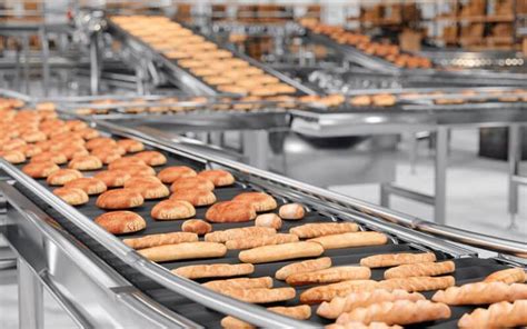 Understanding Enterobacteriaceae Contamination In Food