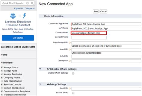 Example How To Get The Access Token Credentials From Salesforce