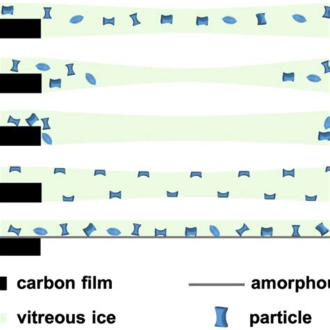 Challenges During Sample Preparation A Particles Spread Evenly In Download Scientific