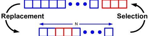 The Replacement Selection Loop Download Scientific Diagram