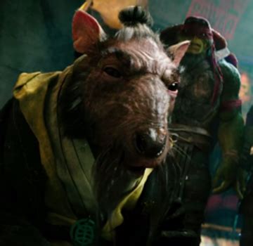 Master Splinter And Turtles