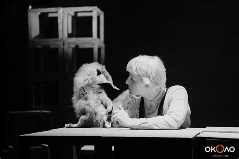 Анна Франк Игра в «семь гульденов ценою в жизнь