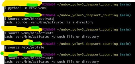 激活虚拟环境 · issue 31 · dyh unbox yolov5 deepsort counting · github