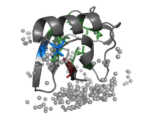 Figure S1 Positions Of Mutated Ubiquitin Core Residues In