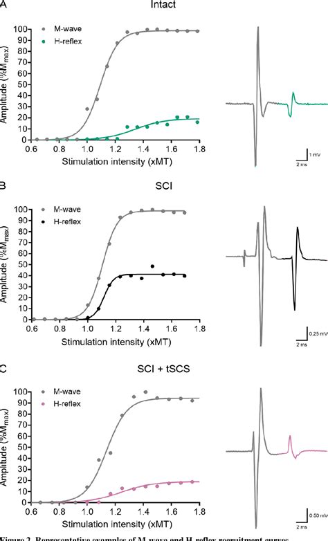 Figure 2 From Multi Session Transcutaneous Spinal Cord Stimulation Prevents Chloride Homeostasis