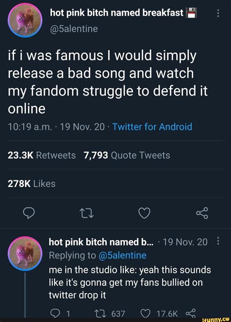 Hot Pink Bitch Named Breakfast If I Was Famous I Would Simply Release A