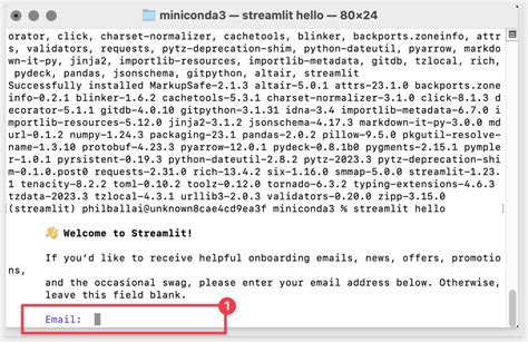 use case secure embedding into streamlit