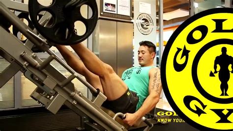 ХӨЛНИЙ БУЛЧИН ХӨГЖҮҮЛЭХ ДАСГАЛУУД 1 Life Fitness ХӨЛНИЙ ҮНДСЭН СУУЛТ