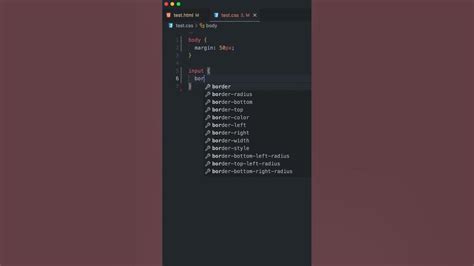 Css Pseudo Classes Explained 1 Placeholder Shown Youtube