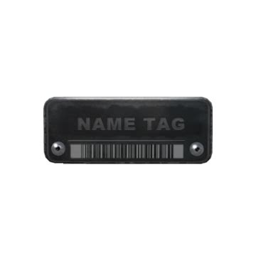 Name Tag steam original CS GO CSGO CS GO Video igre Ostalo Tešanj OLX ba