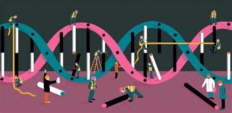 What Is Nested PCR Concept Primers Protocol Advantages And Limitations
