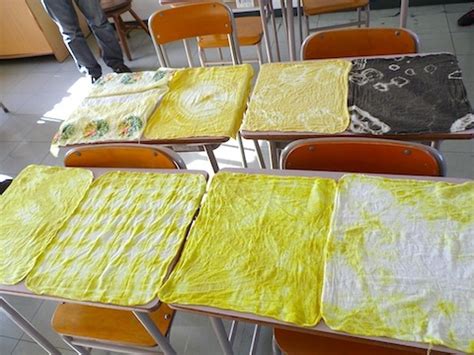 フクギ染め しかたに自然案内