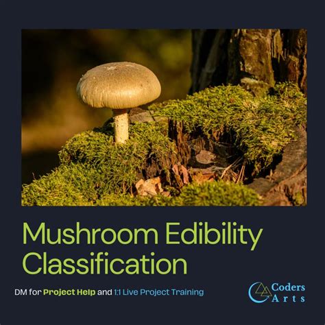 Jitendra Singh On Linkedin Machinelearning Ai Datascience