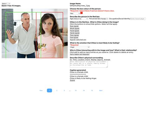 contextual emotion estimation