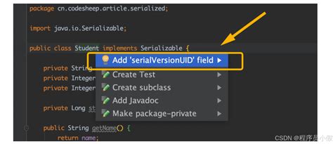【java开发日记】说一说序列化与反序列化中存在的问题序列化的问题 Csdn博客