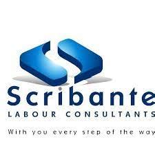 Scribante Code 14 Driver Jobs Available For You