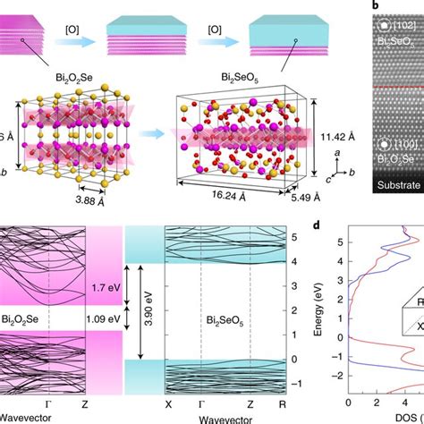 A Native Oxide High κ Gate Dielectric For Two Dimensional Electronics