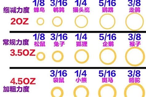 牙齿矫正皮筋图解区别快看兔子 企鹅 狐狸都代表什么样的直径和力量 口腔医院新闻 398口腔网
