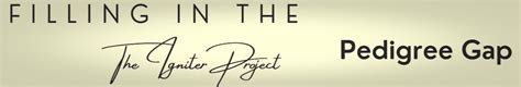 The Igniter Project Linkedin