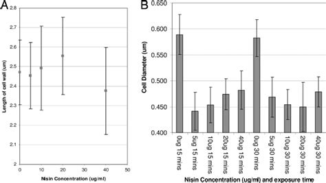 Total Length Of B Subtilis Cell Wall In Transverse Bacterial
