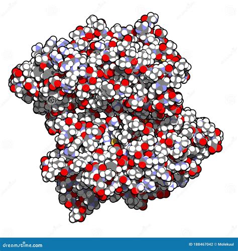 brca1 breast cancer type 1 susceptibility brct domain dna repair
