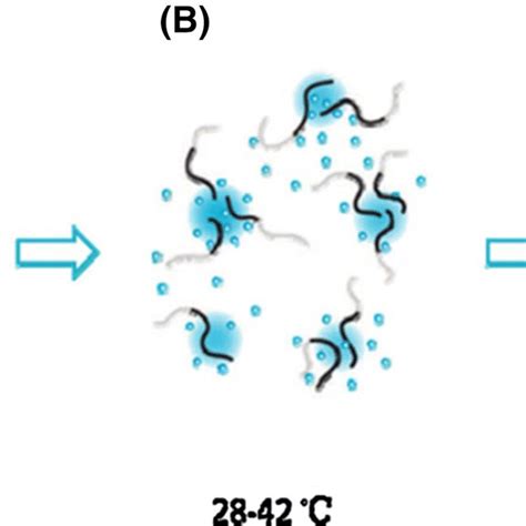 The Different Types Of Block Copolymers Download Scientific Diagram