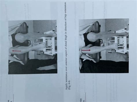 MMT Flashcards Quizlet