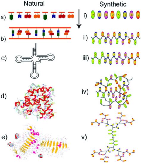 Structures Of Natural And Synthetic Polymers Monomer Units A I Can Download Scientific