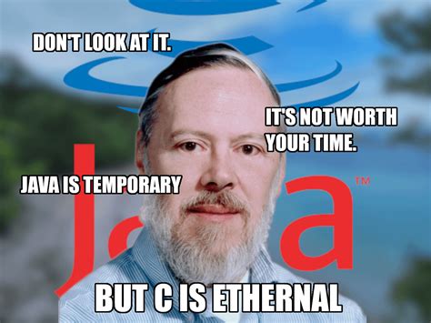 hardcore c devs be like r programmerhumor