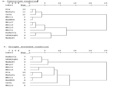 Dendrogram Of Hierarchical Cluster Analysis Depicting Grouping In Rice