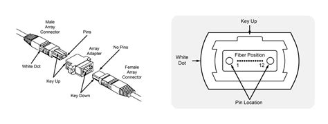 Basics Of Mtp Mpo Cables Your Fiber Optic Solution Proline