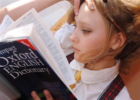 Class 3 Evs Sample Paper 2025 Pdf Practice Model Question Paper Aglasem