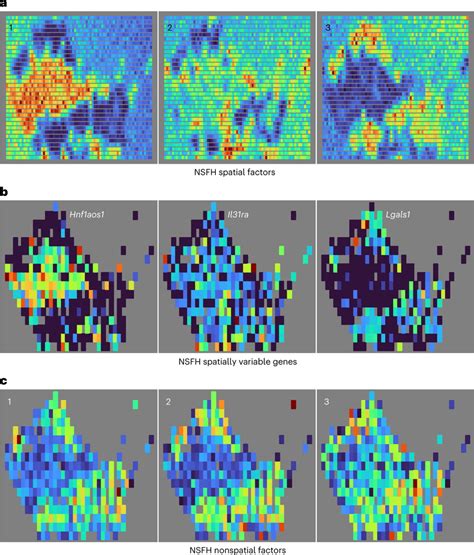 Nsfh Model Combines Spatial And Nonspatial Factors In Xyzeq Mouse Liver Download Scientific